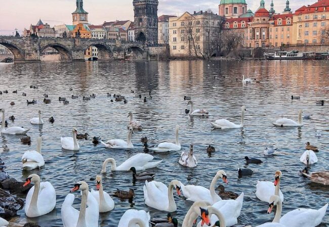 Ting at vide, før du besøger Prag - Blog - rejsefox
